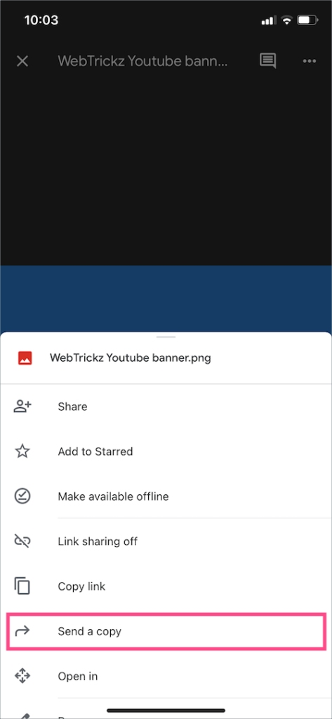 How to Download Files from Google Drive App to iPhone