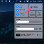 How to Turn Off Notifications on Mac during Zoom Meetings