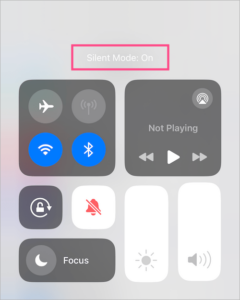 How to Put Your iPhone 16 on Vibrate or Silent Mode