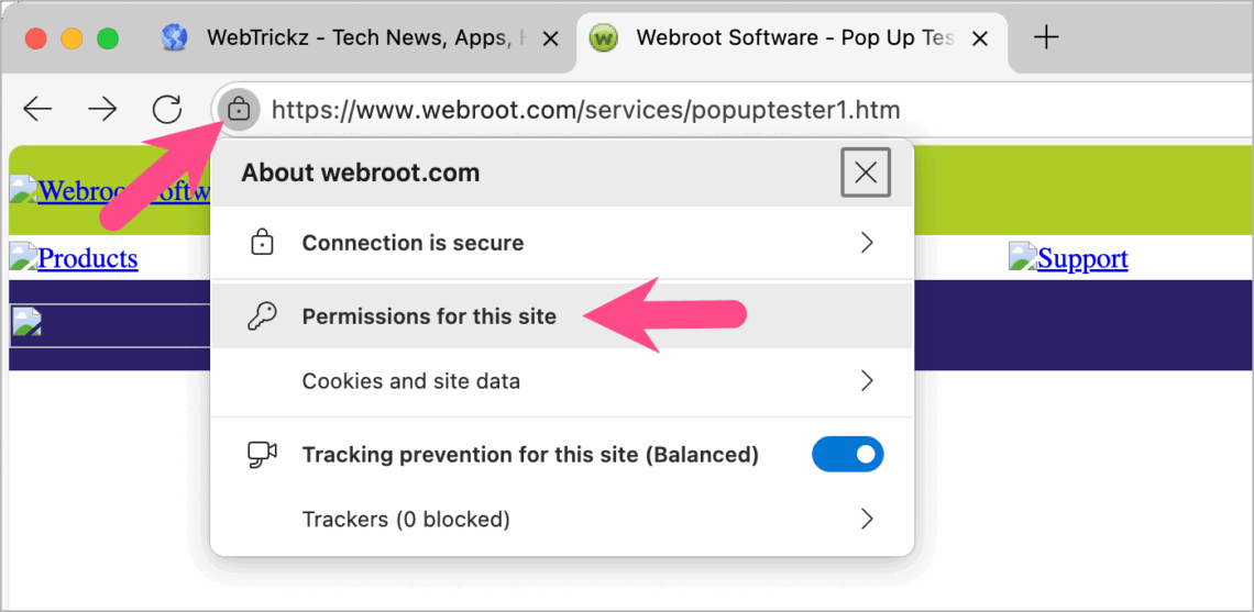 How to Disable Pop-Up Blocker in Microsoft Edge (2025)